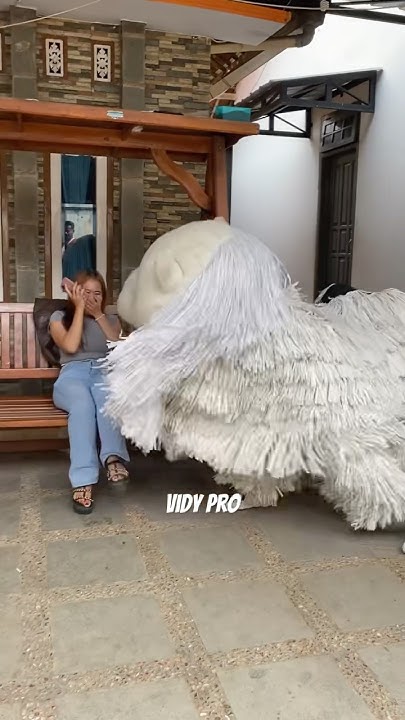 Cewek cantik lagi maen hp di makan can macanan - YouTube