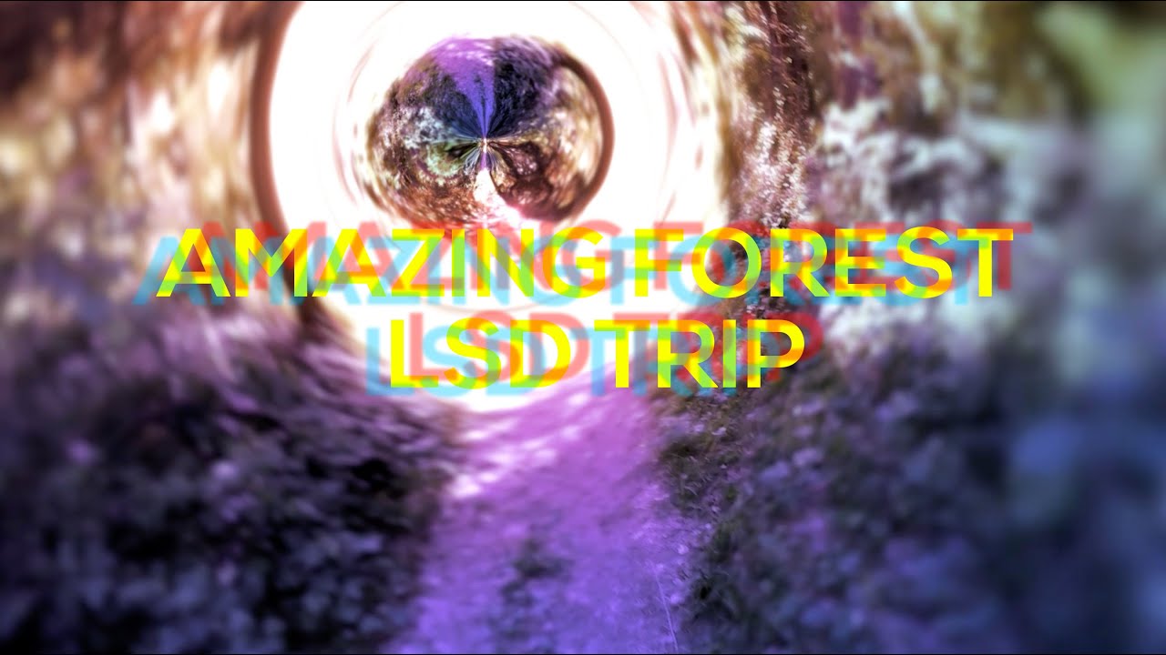 AMAZING FOREST LSD TRIP [P O V] - YouTube