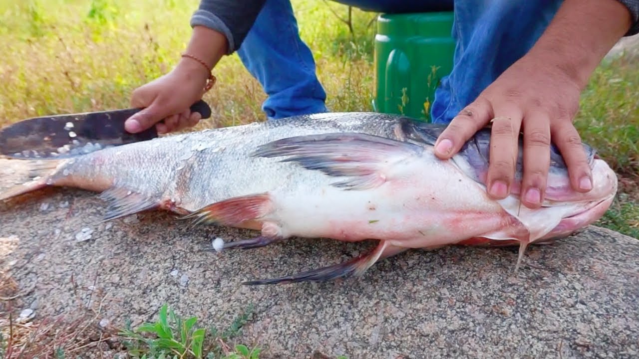 BIG DINNER 😋😋😋😋 !!!! WILD FISH FRY 😍😍 RANGERS FISH RECIPE - YouTube