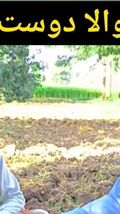 Free Advice daeny wala friend😜[ismail shah] & [mistri Khalid Khawaja] - YouTube