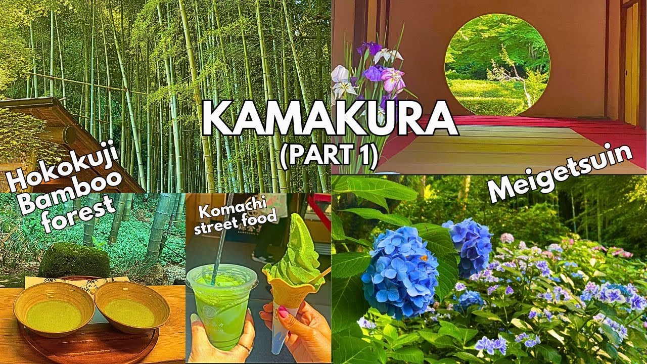 Kamakura Day trip | Matcha cafe in Hokoku-ji Bamboo Forest, Bloomed ...