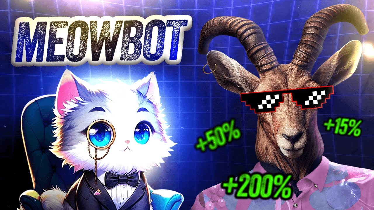 WANT TO BE A MILLIONAIRE? 🔥 MeowBot 🔥 START NOW! - YouTube