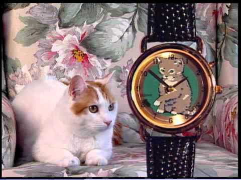 Kitty Kat Watch WMV 480p 4x3 - YouTube