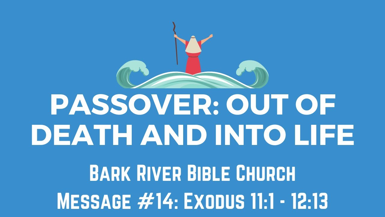 Passover: Out of Death and into Life - YouTube