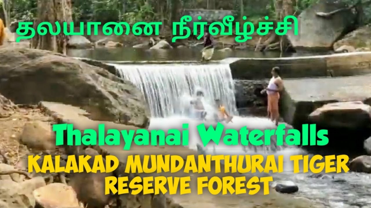 தலயானை நீர்வீழ்ச்சி, களக்காடு முண்டந்துறை புலிகள் சரணாலயம், Thalayanai ...