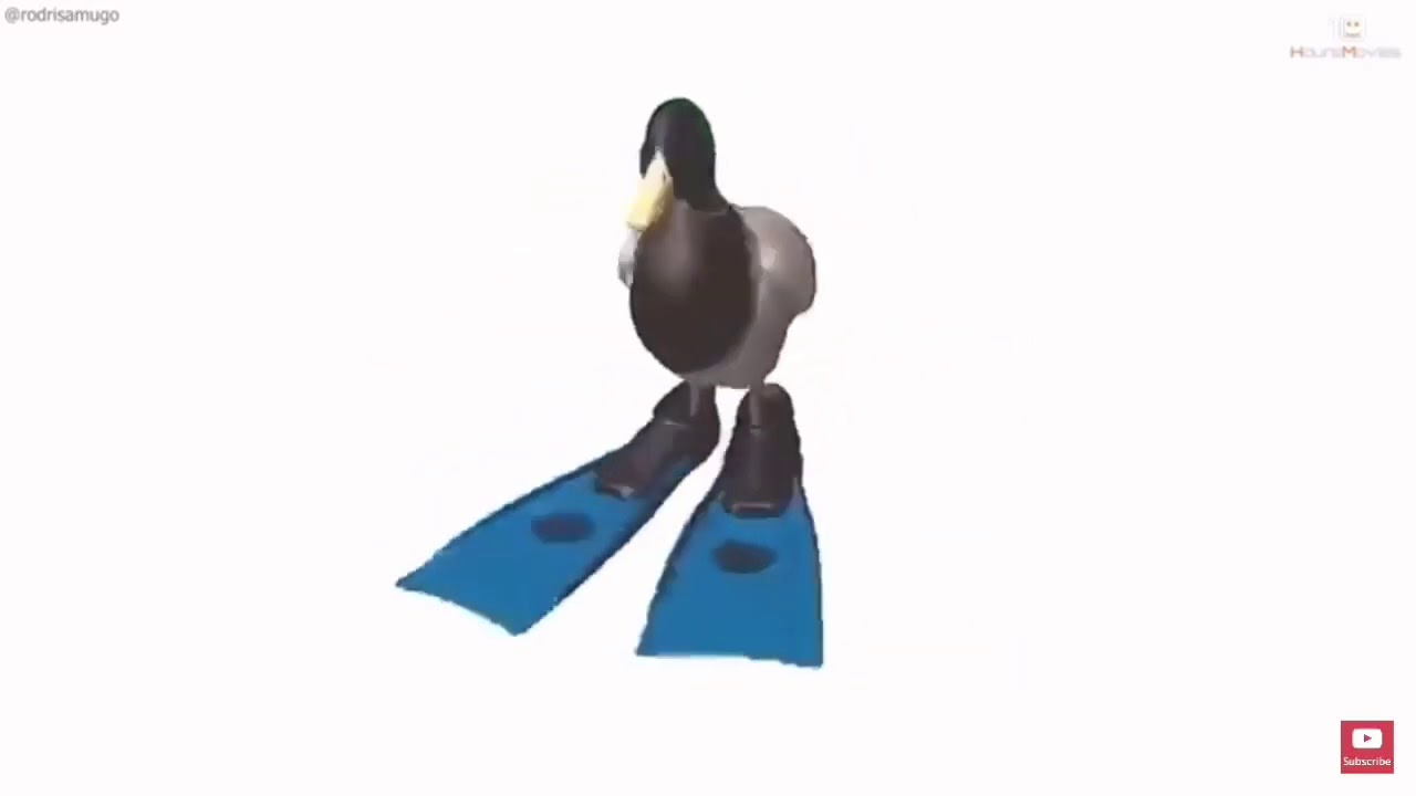 Spinning Animal collection - YouTube