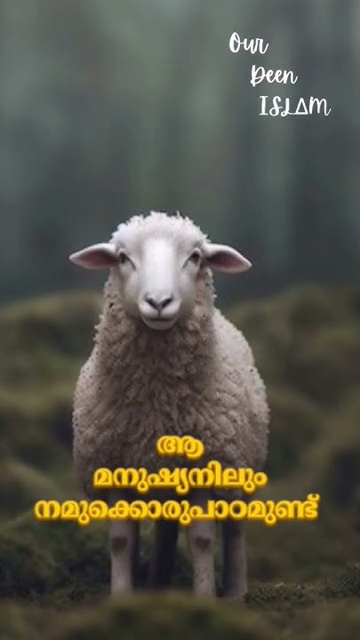 ആ മനുഷ്യനും നമുക്കൊരു പാഠമുണ്ട് Youtube