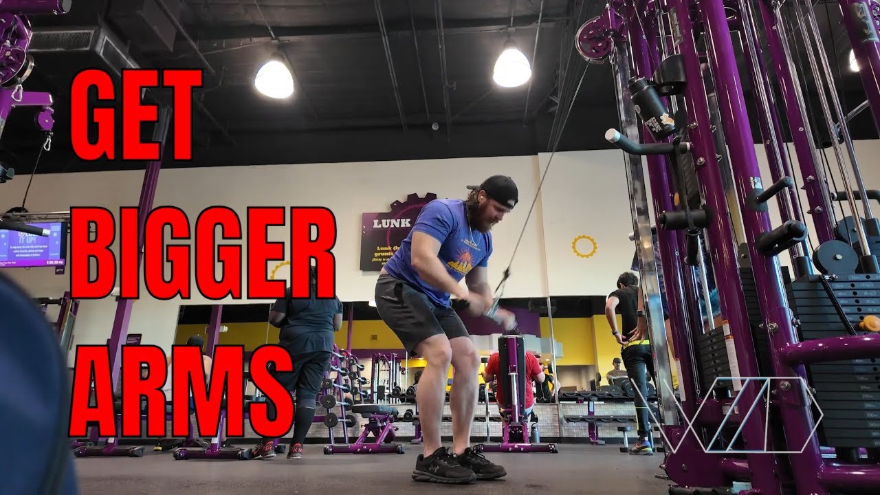 Training Like Cbum. - Chest & Tri Day - YouTube