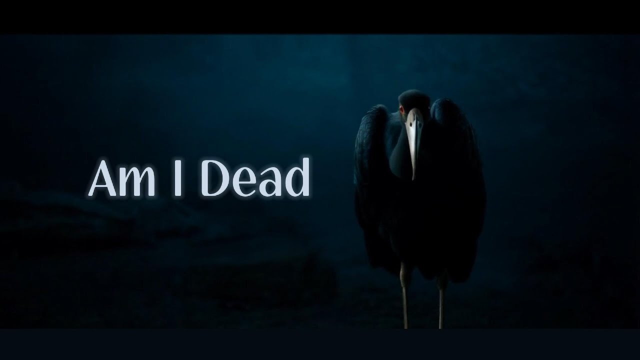 Am I Dead - YouTube