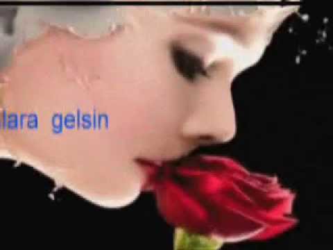 gulsema