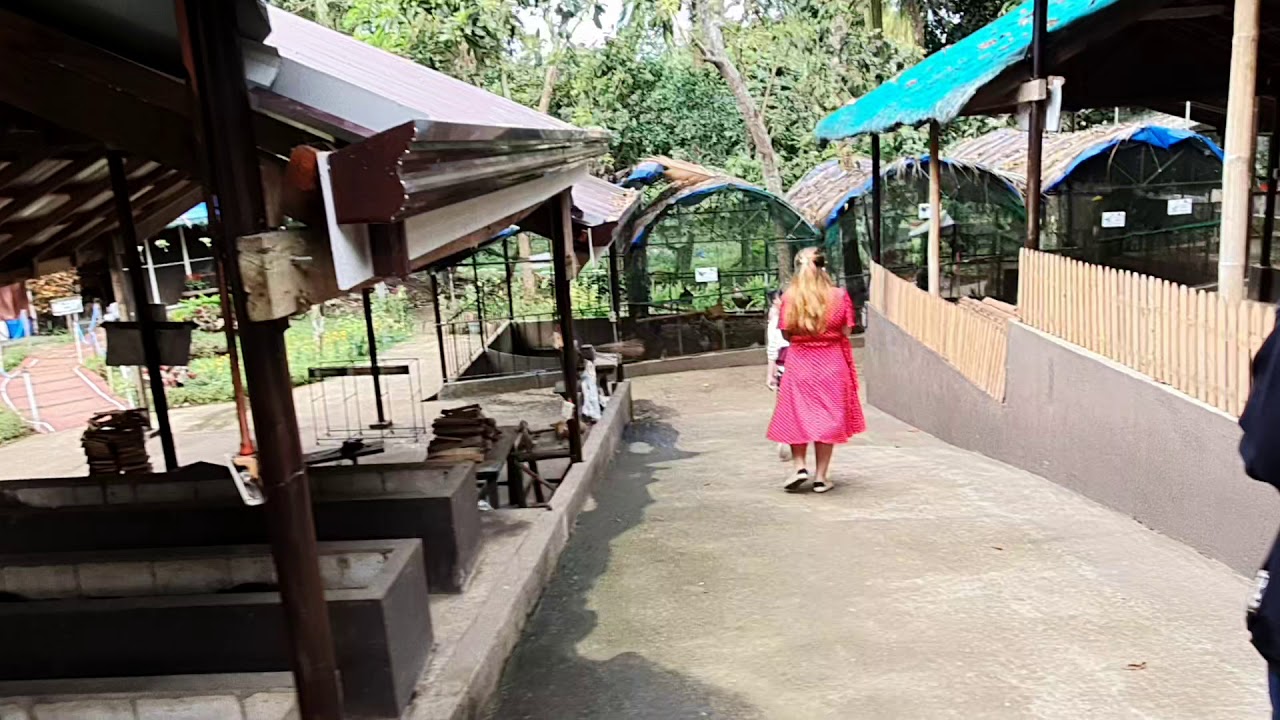 Zane Caeg exploring camp benjamin farm - YouTube