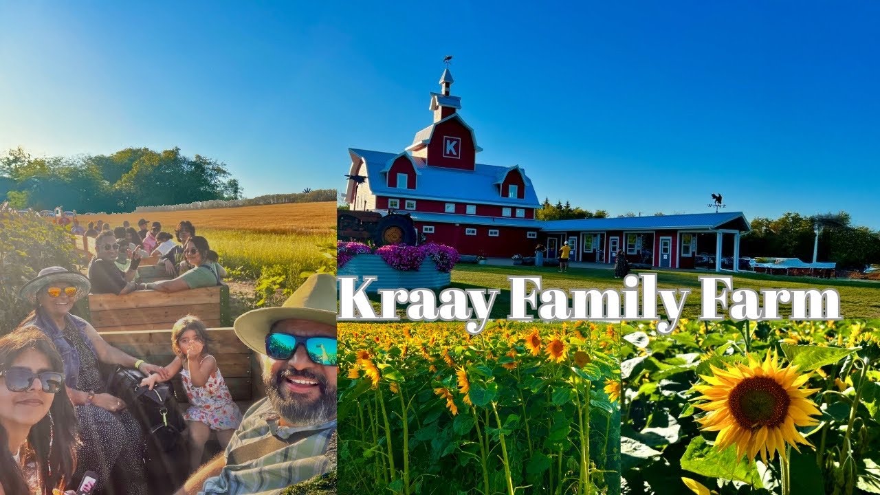 Train Ride + Corn Maze + Animal Farm + Farm Games & Food on a perfect ...
