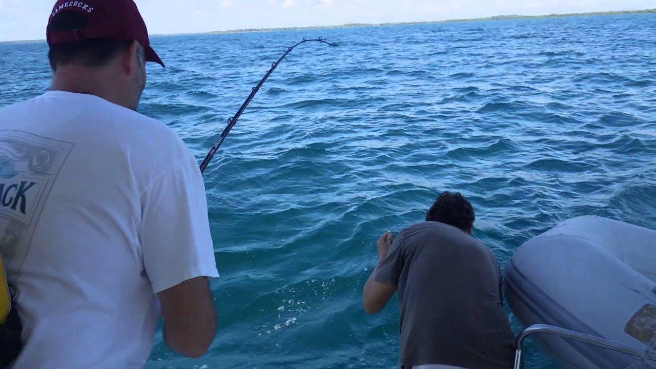 Catching a Red Grouper *Fishing off a Sailboat in Belize - YouTube