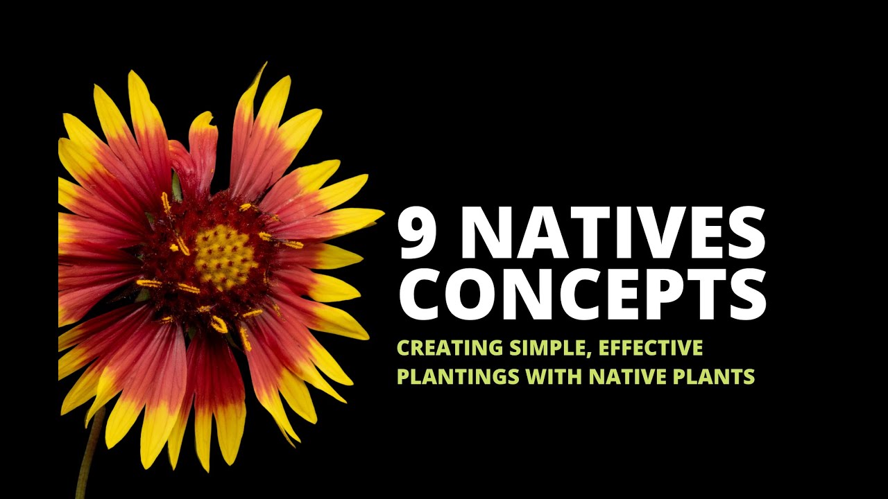 9 Natives Concepts: Creating Simple, Effective Plantings with Native ...