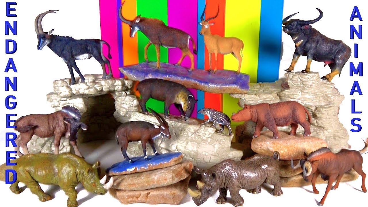 Wild Animal Toy Collection Endangered Hoofed Animals Educational Toys ...