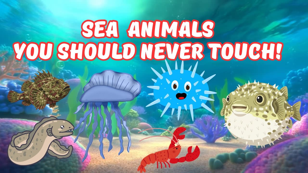 Kids’ Guide to Dangerous Sea Animals| Learn & Stay Safe! Fun & Safe ...