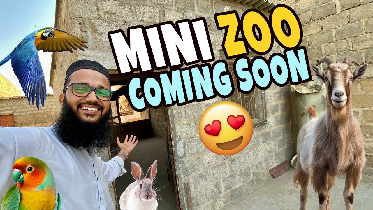 Mini zoo coming soon 😍🦜 (Fahad Bhai Official) - YouTube