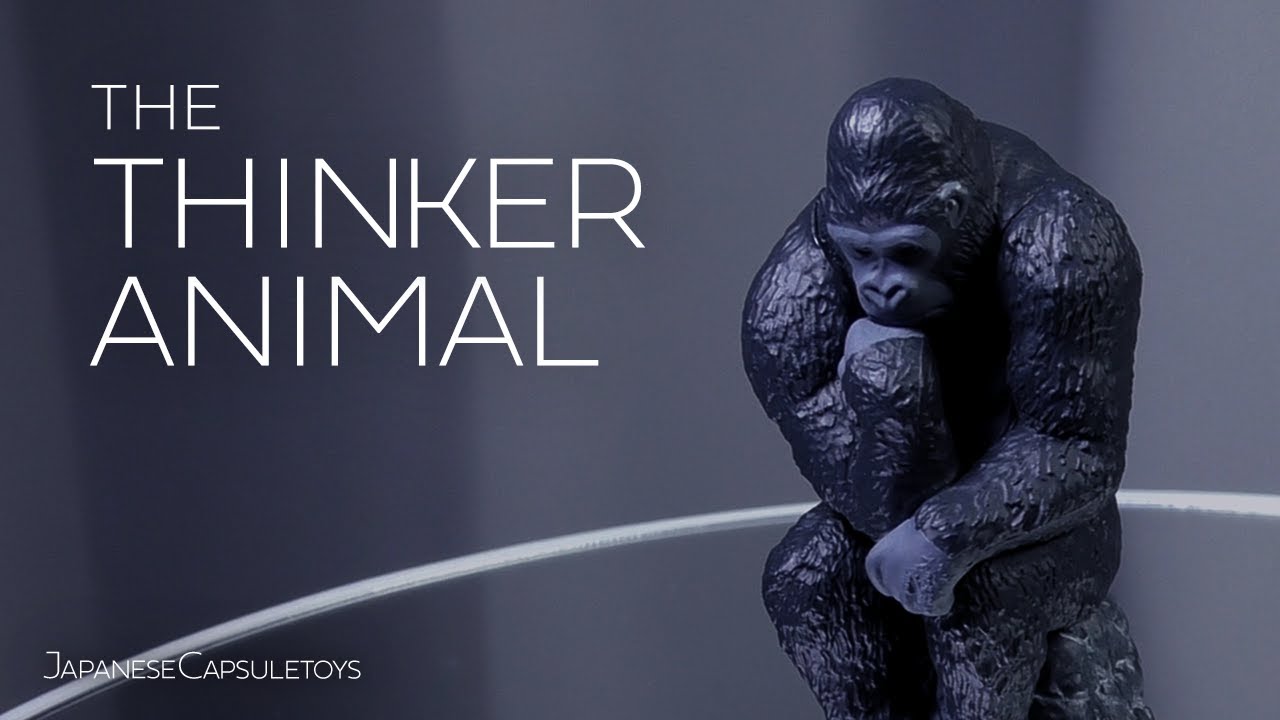 THE THINKER + ANIMAL [ Japanese CapsuleToy #121 ] - YouTube