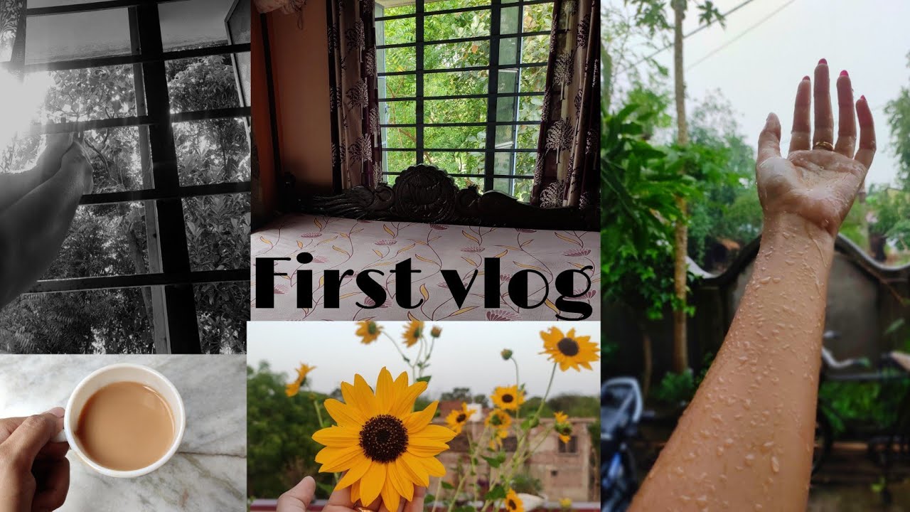 My First Vlog🌻|Lifestyle Vlogs|A Day In My Life Vlog 1 আজ সারাদিন কি কি ...