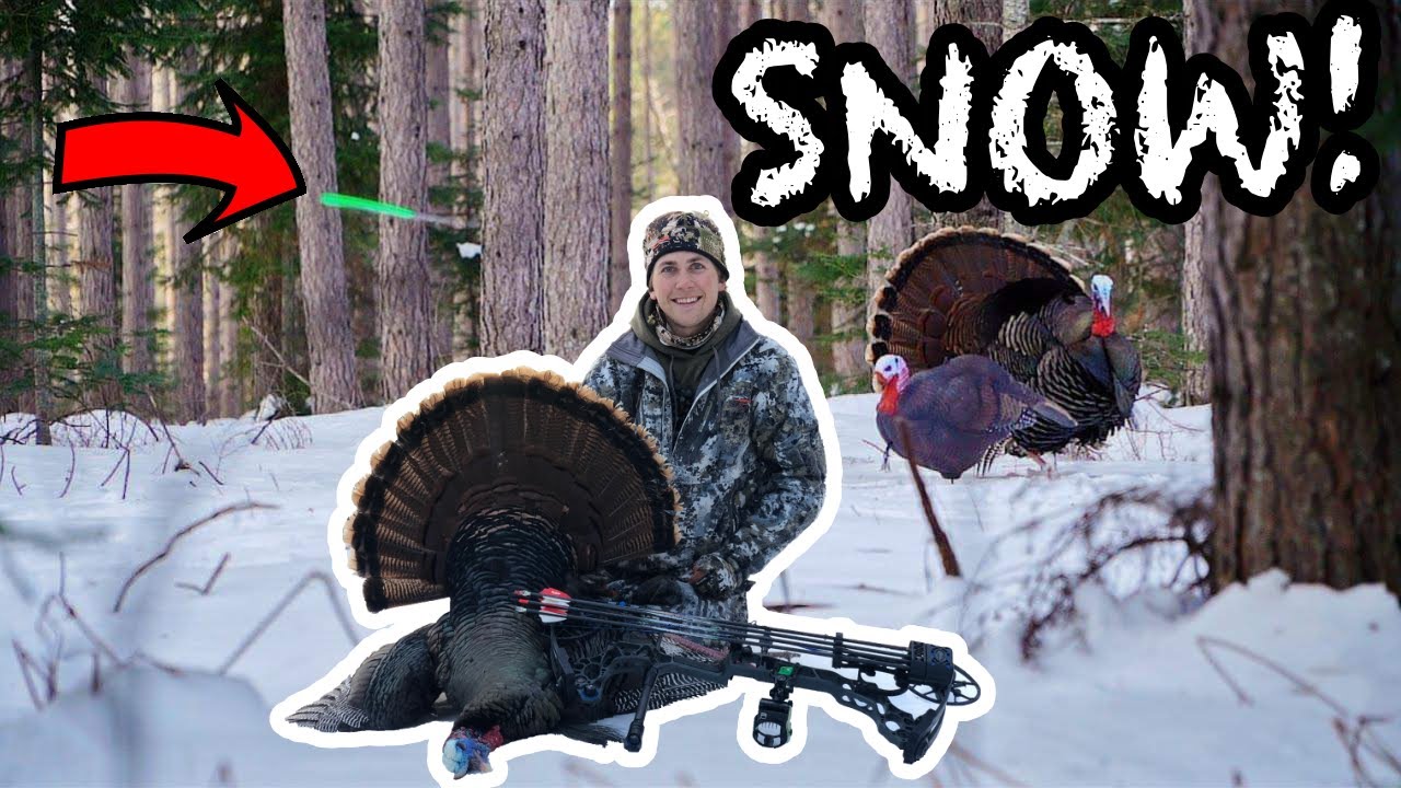 Bow Hunting Turkey in the SNOW! (PUBLIC LAND) - YouTube
