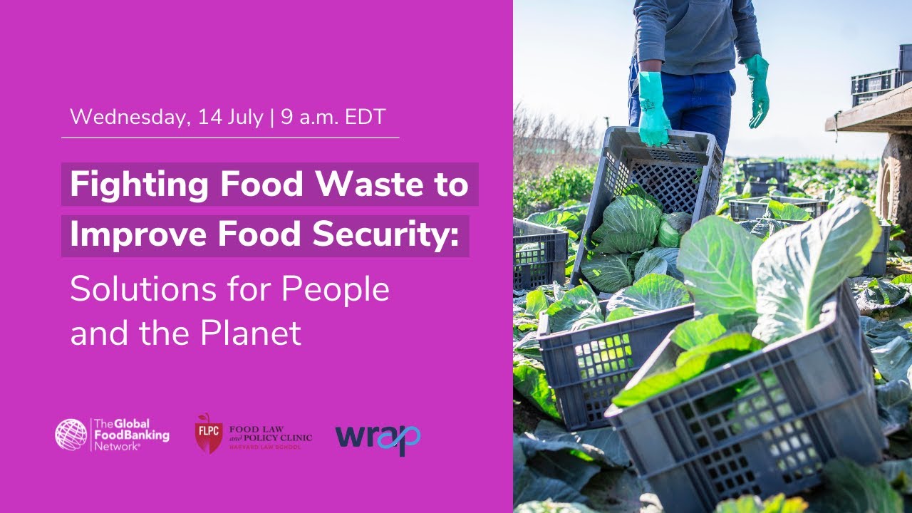 Fighting Food Waste to Improve Food Security: Solutions for People and ...