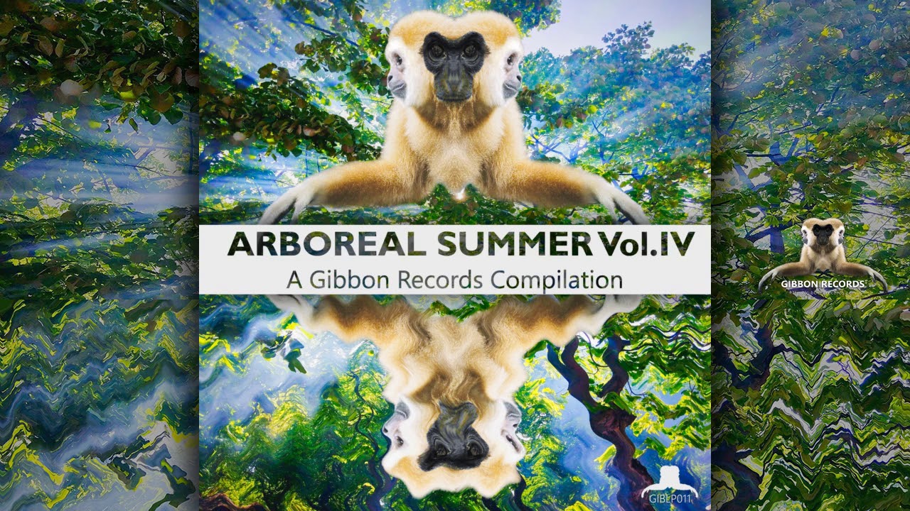 [GIBLP011] Benwaa - Not Strange Strange (Original Mix) - YouTube