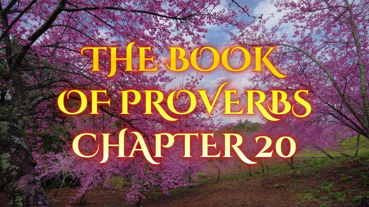 The Book Of Proverbs Chapter 20 - YouTube