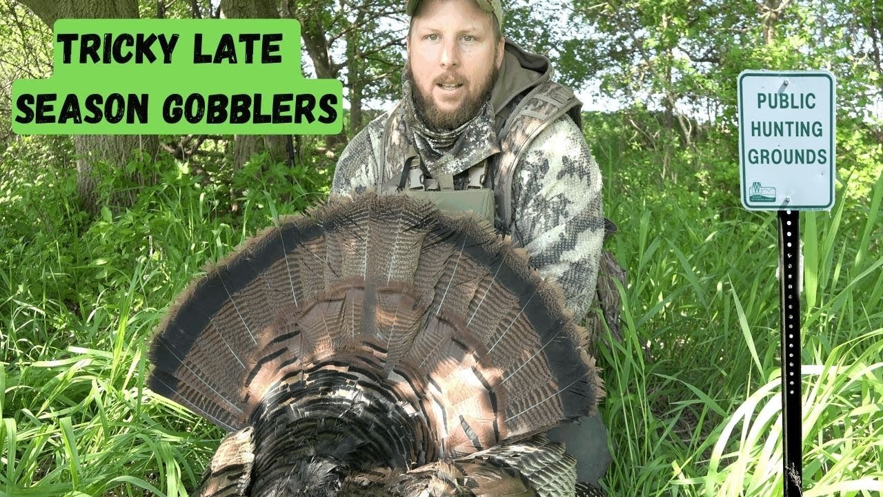 Late Season Turkey Hunt/ Trying all the Tricks - YouTube