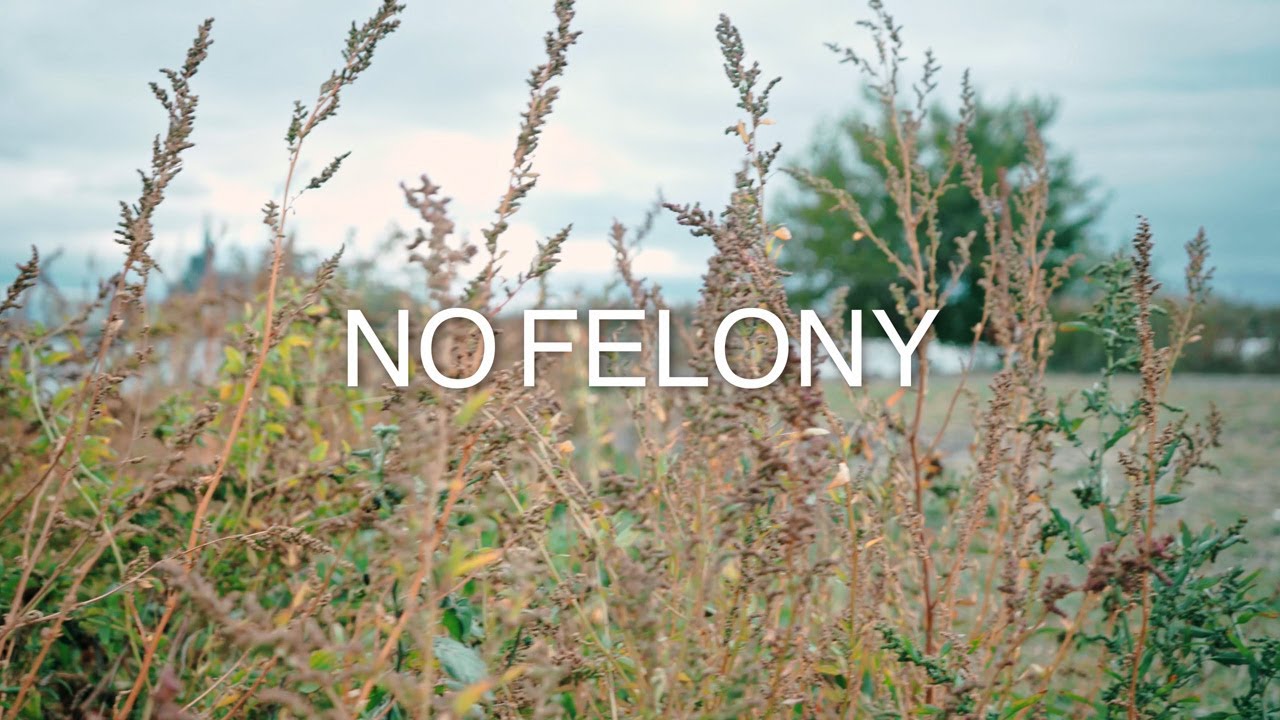 AlexxxDanger - No Felony - YouTube