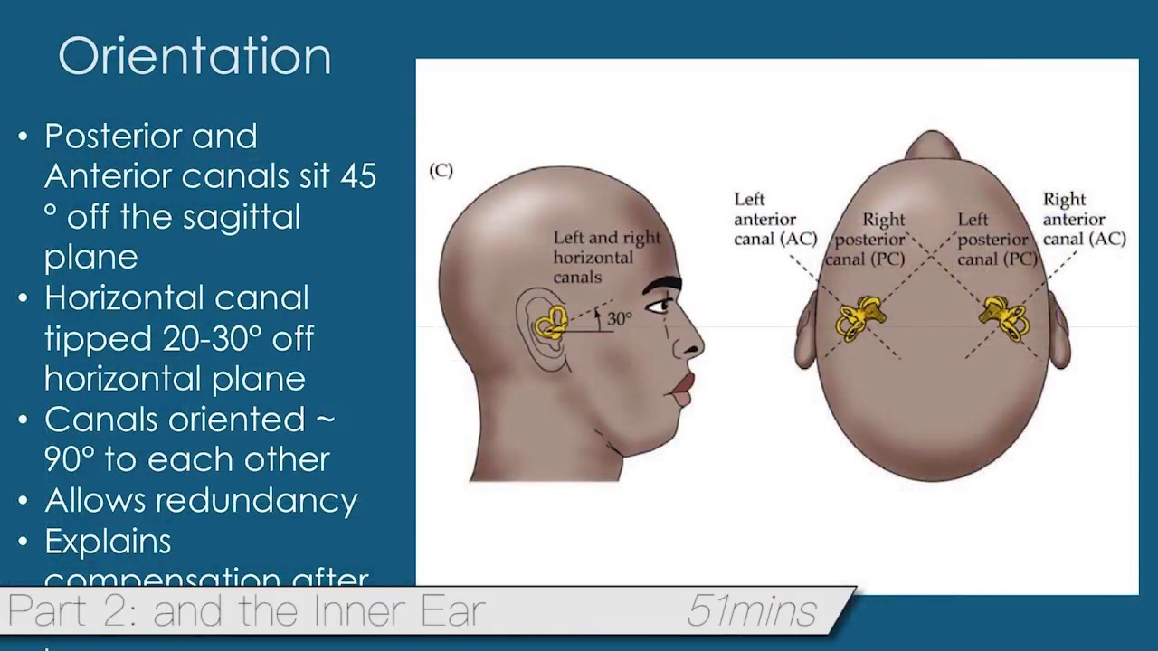 MdDS & GyroStim Seminar Trailer - YouTube