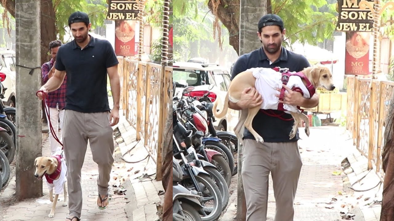 Aditya Roy Kapoor Snapped At Dog Clinic In Bandra | MS Talkies - YouTube