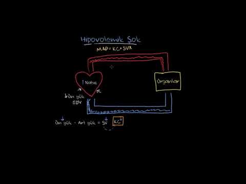 Hipovolemik Şok (Sağlık Bilgisi ve Tıp)