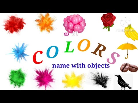 Basic colors name and showing objects।।learn colors name।।learning ...
