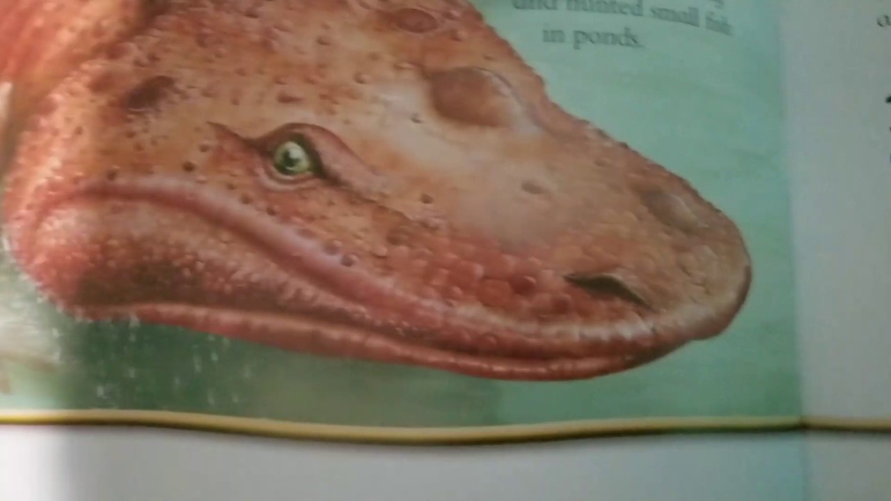 CRINGE LEVEL 9000++ PLUS 1000+ ANIMAL FACTS! - YouTube