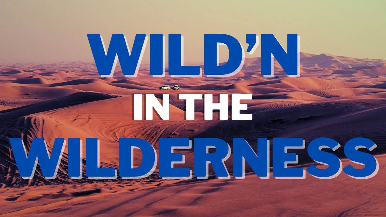 Wisdom In The Wilderness Part 1: Wildn’ In The Wilderness || Romell ...