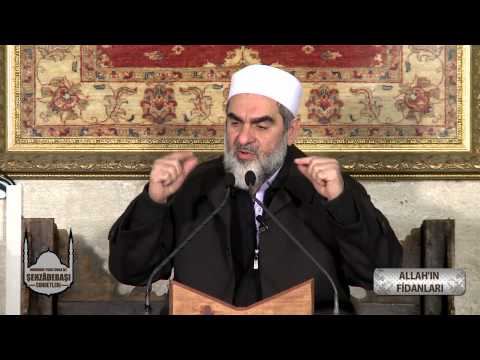 Neden İmran ailesi ?