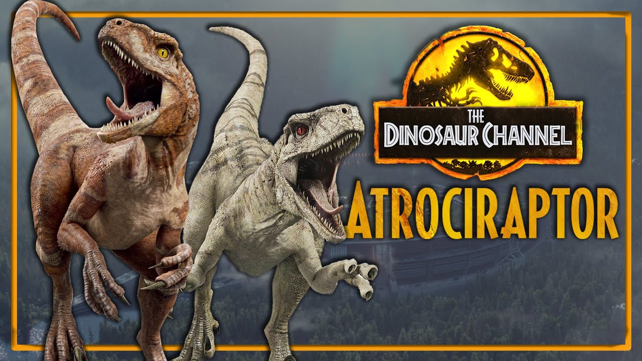What Was The Atrociraptor? - The Dinosaur Channel - YouTube
