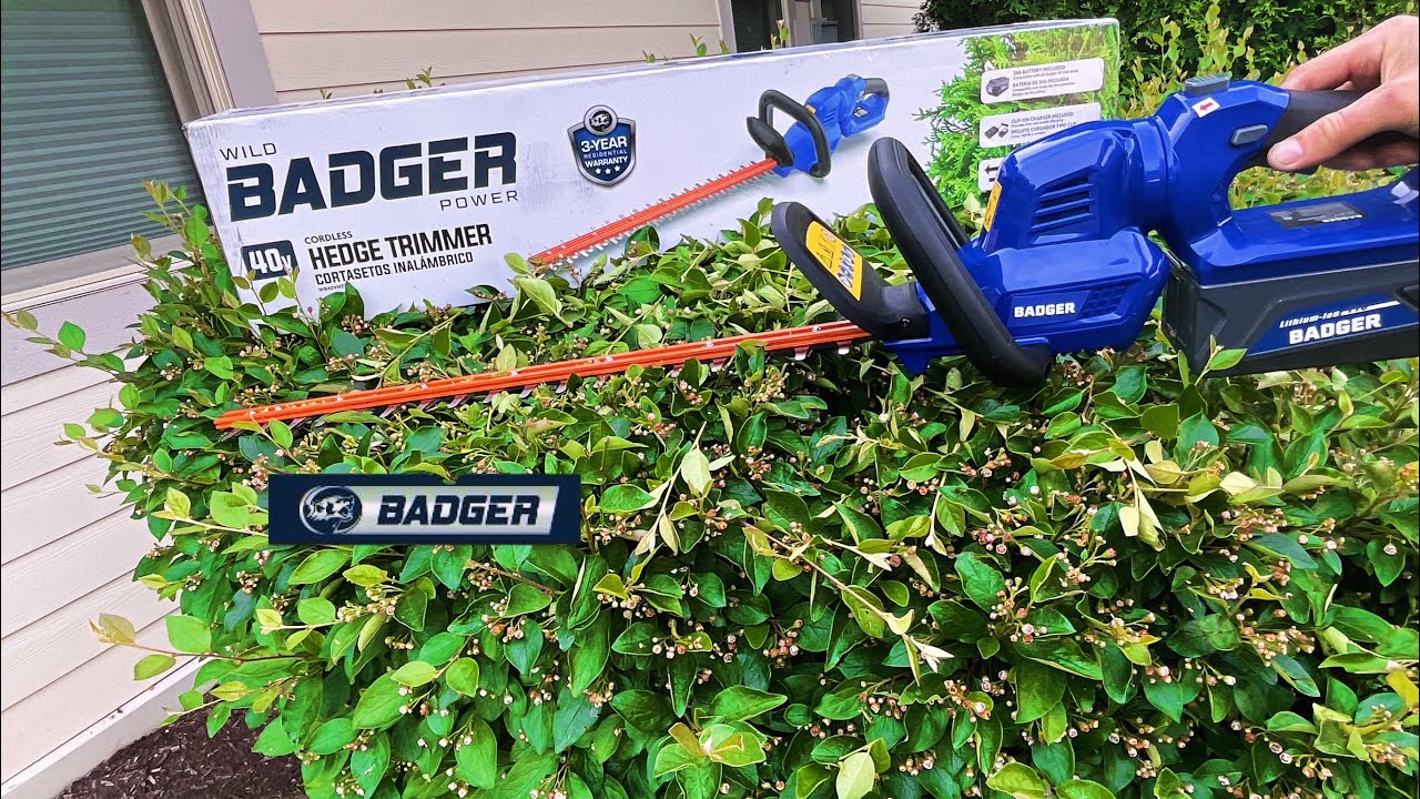 Review of The Cordless 40V 24” Hedge Trimmer from Wild Badger With ...