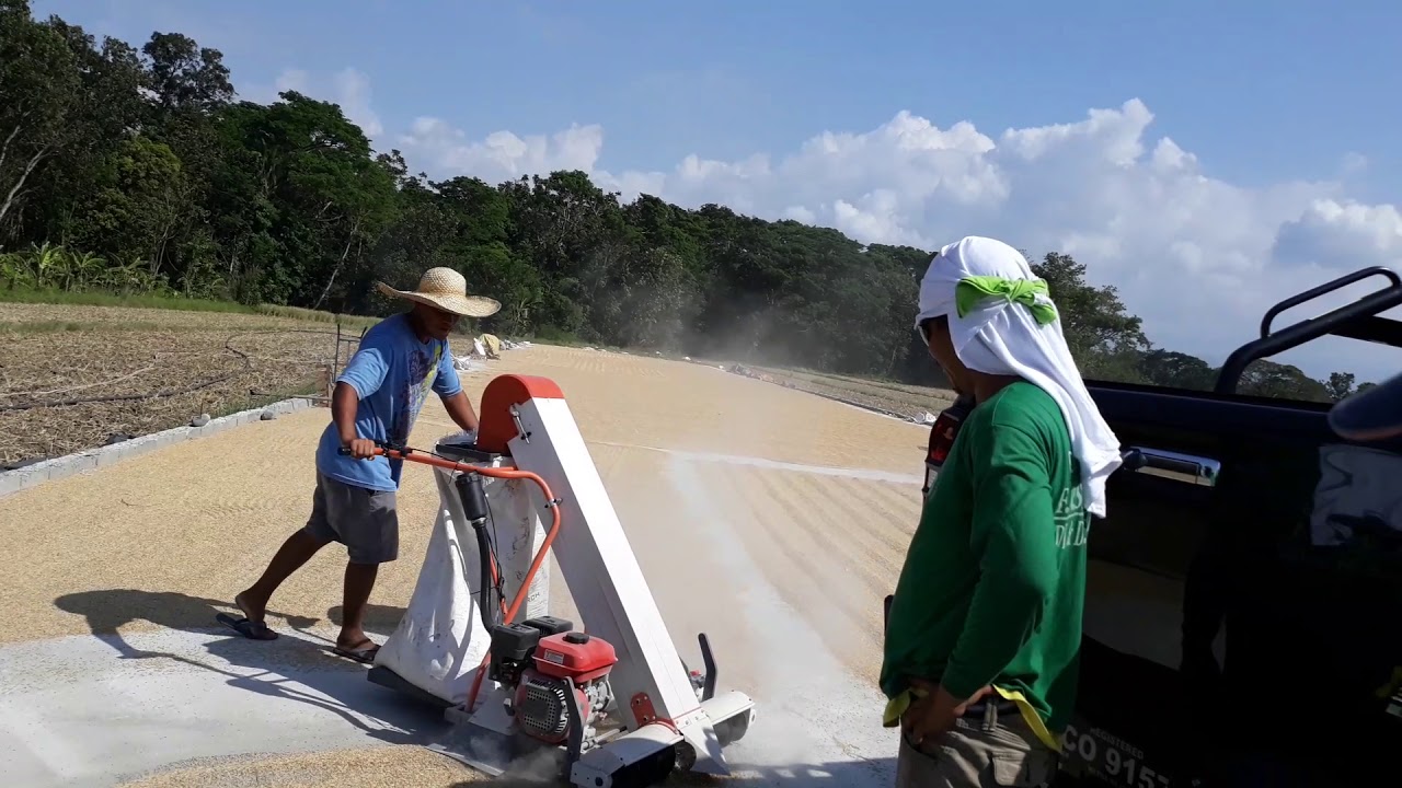 Paddy collecting machine - YouTube