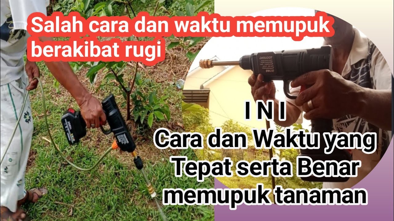 Cara & Waktu yg tepat memupuk tanaman. @alvisidei - YouTube