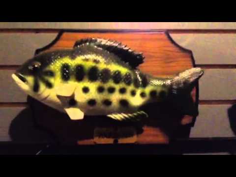 My very first custom singing fish - YouTube