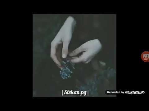 Menali videolar maraqli.