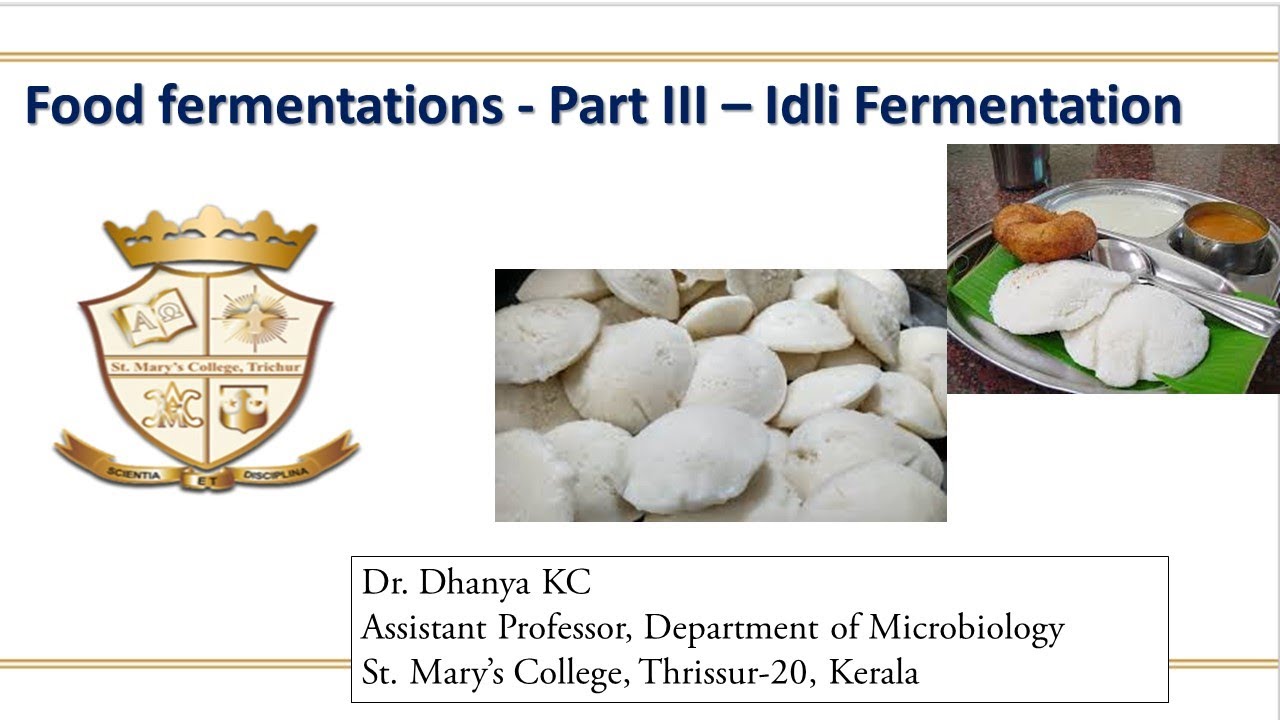 Food fermentations - Part III - Idli Fermentation - YouTube