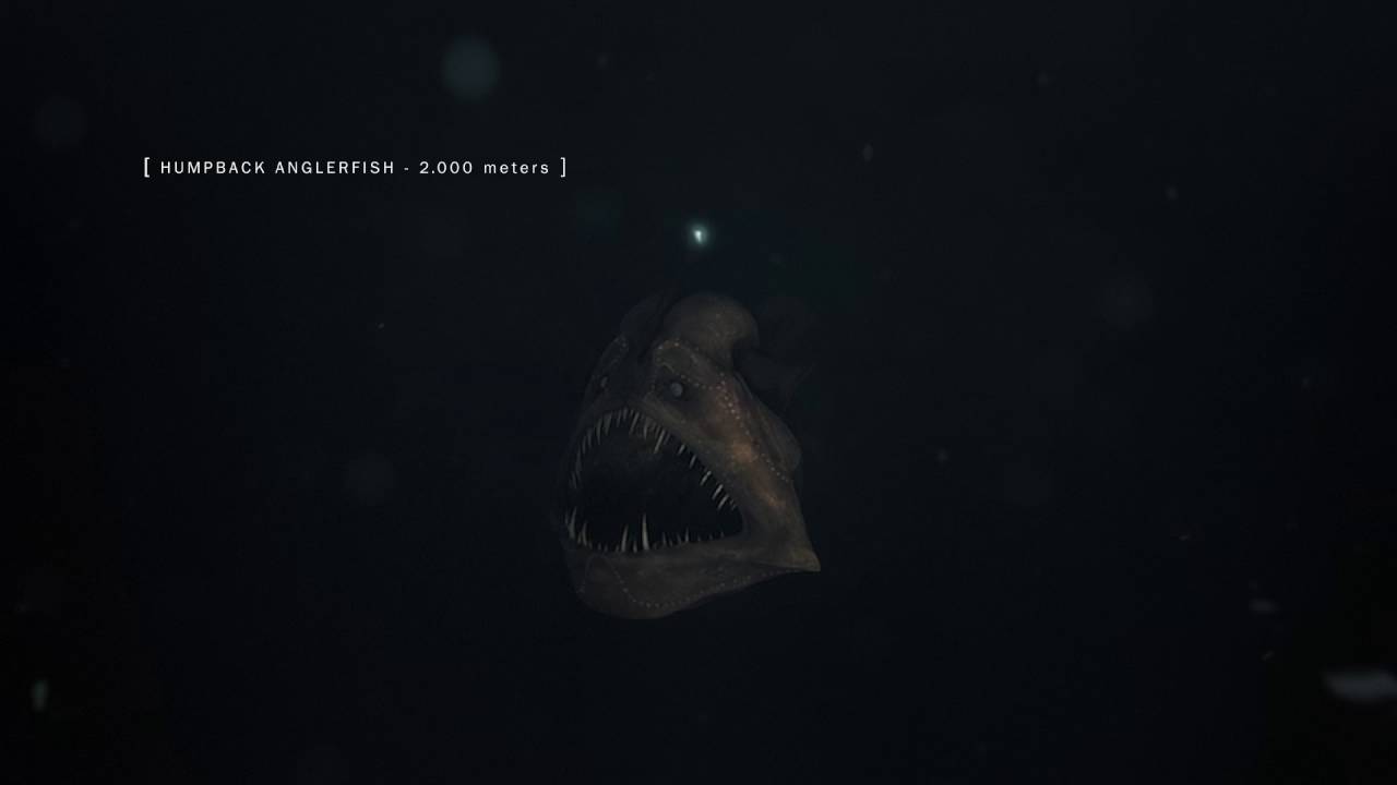 Fishes VEJA AlmapBBDO - YouTube