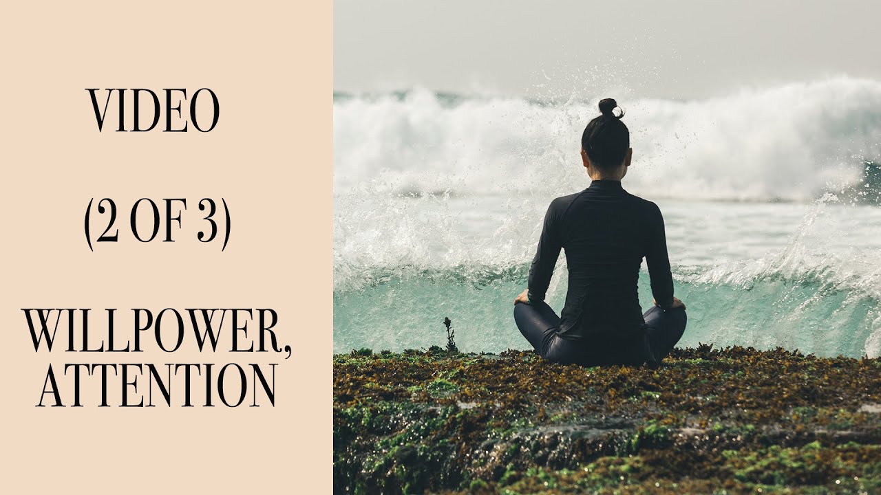 How to Build Your Willpower | Attention Exercise for Wellbeing - YouTube
