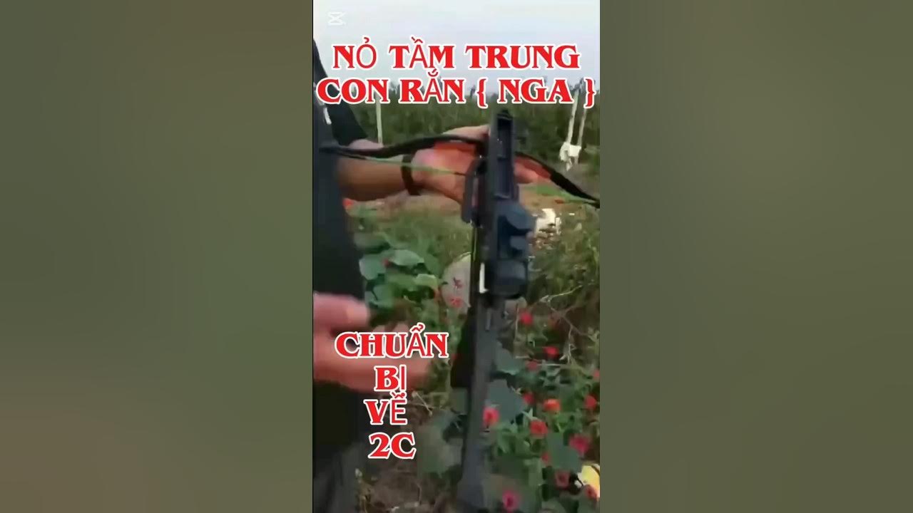 CHUẨN BỊ VỀ 2C NỎ SĂN CON RẮN { NGA} - YouTube