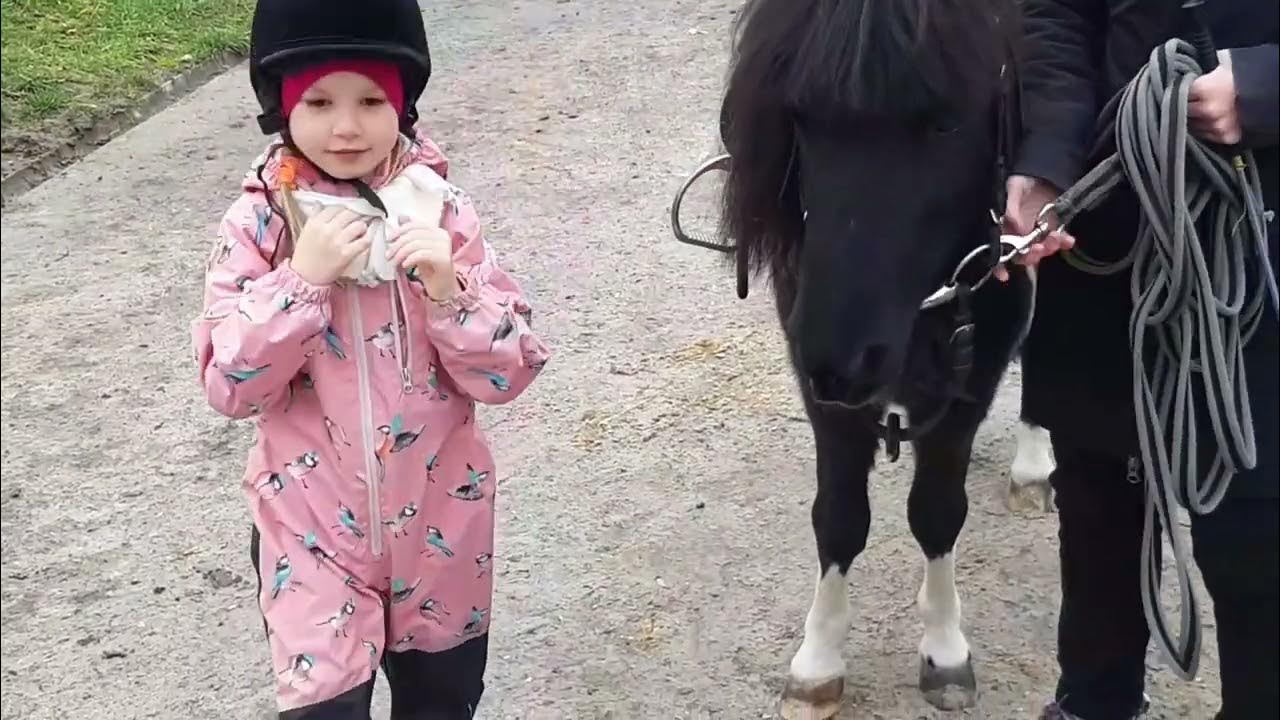 Что подарить ребёнку на 5 лет. Конный спорт для детей. Плюсы и минусы ...