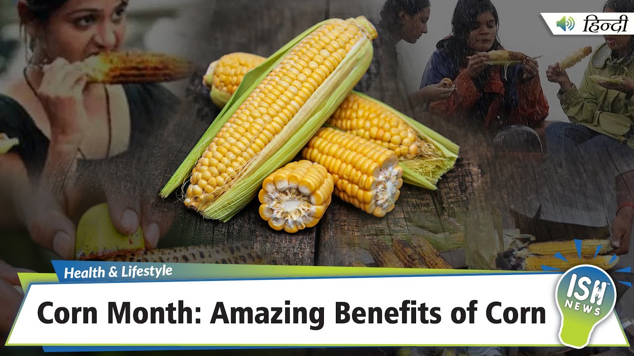Corn Month: Amazing Benefits of Corn | ISH News - YouTube