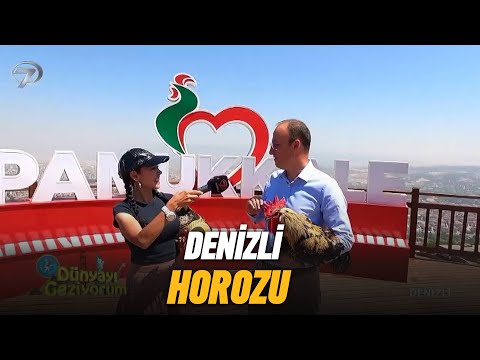 Denizli Horozu Neden Meşhur | Dünyayı Geziyorum Denizli