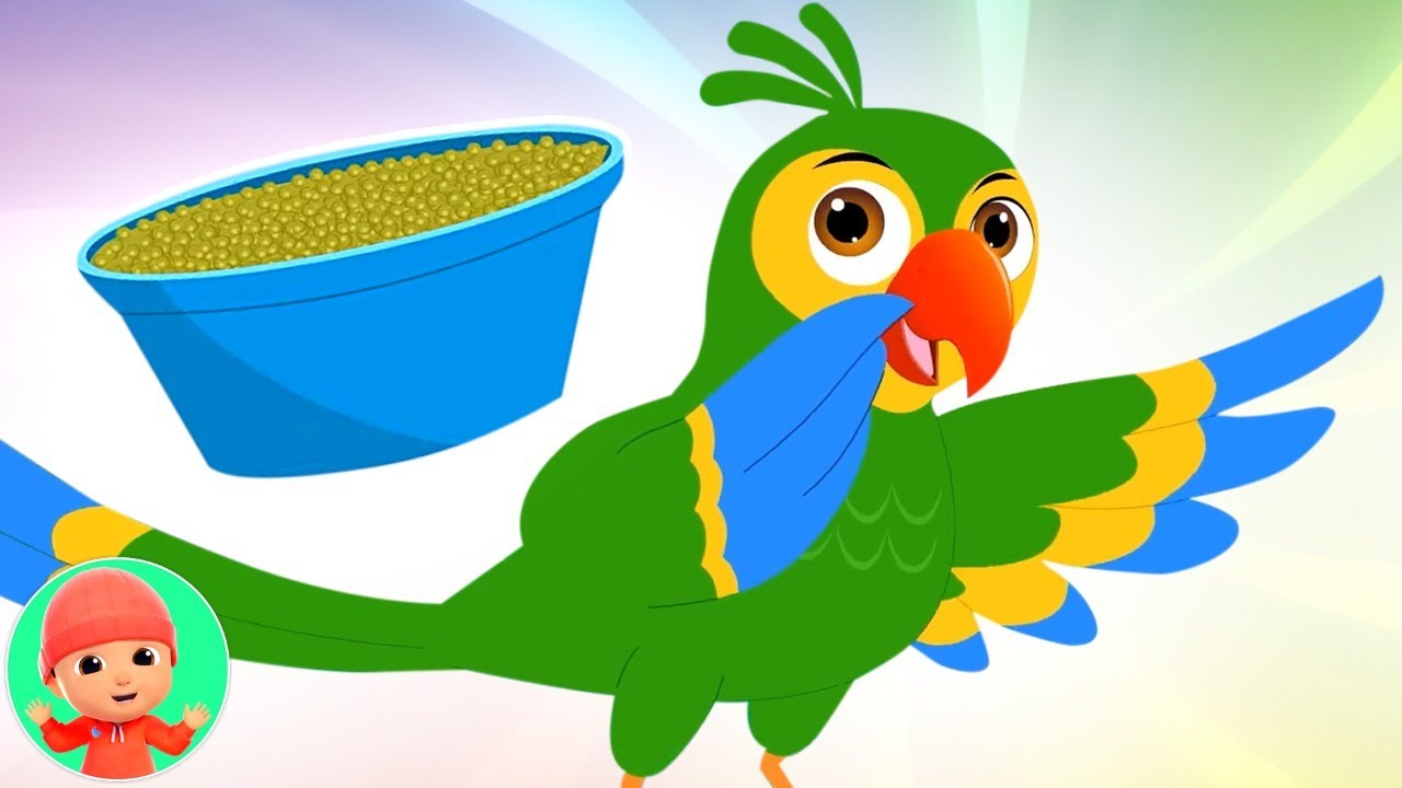 Main Tota, मैं तोता, Hindi Poem and Rhyme for Kids - YouTube